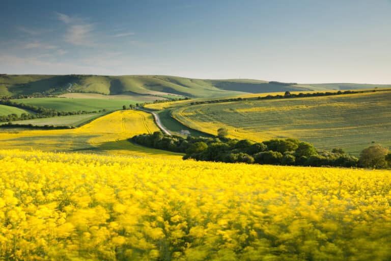 Home - Great Scenic Journeys