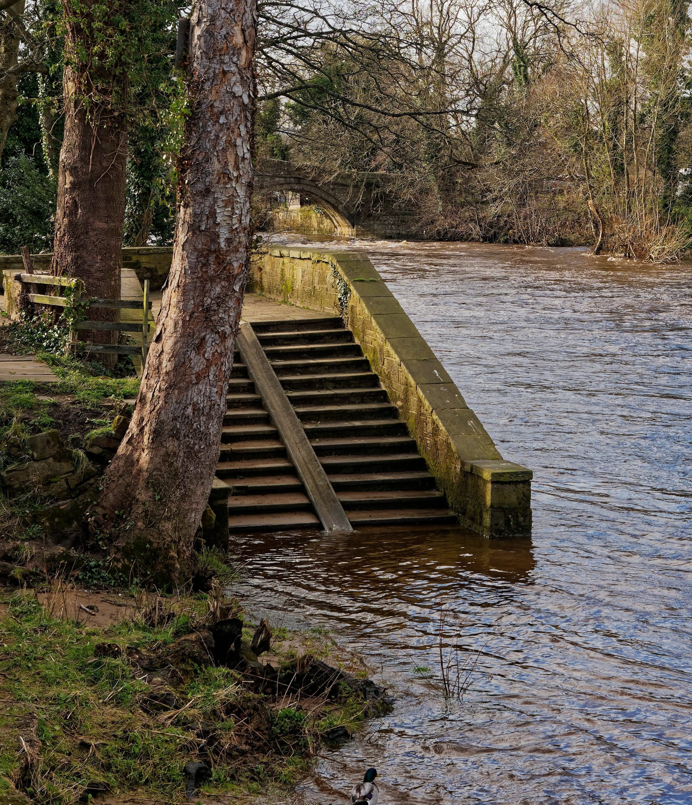 Ilkley Riverside Gardens - Great Scenic Journeys