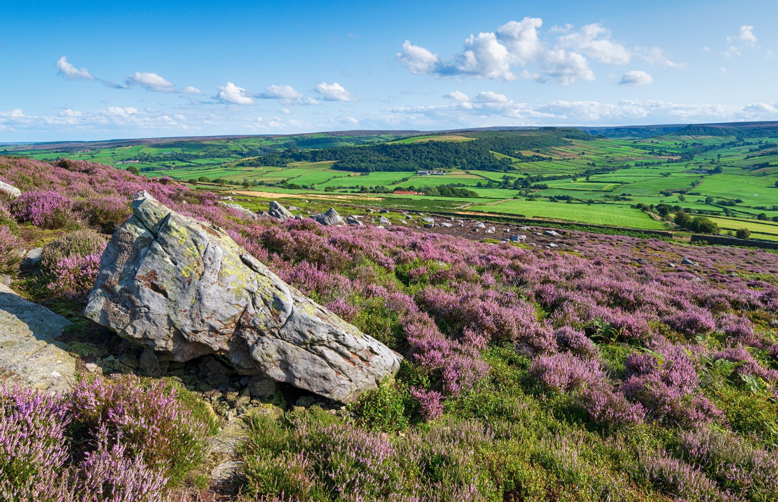 Danby Lodge National Park - Great Scenic Journeys