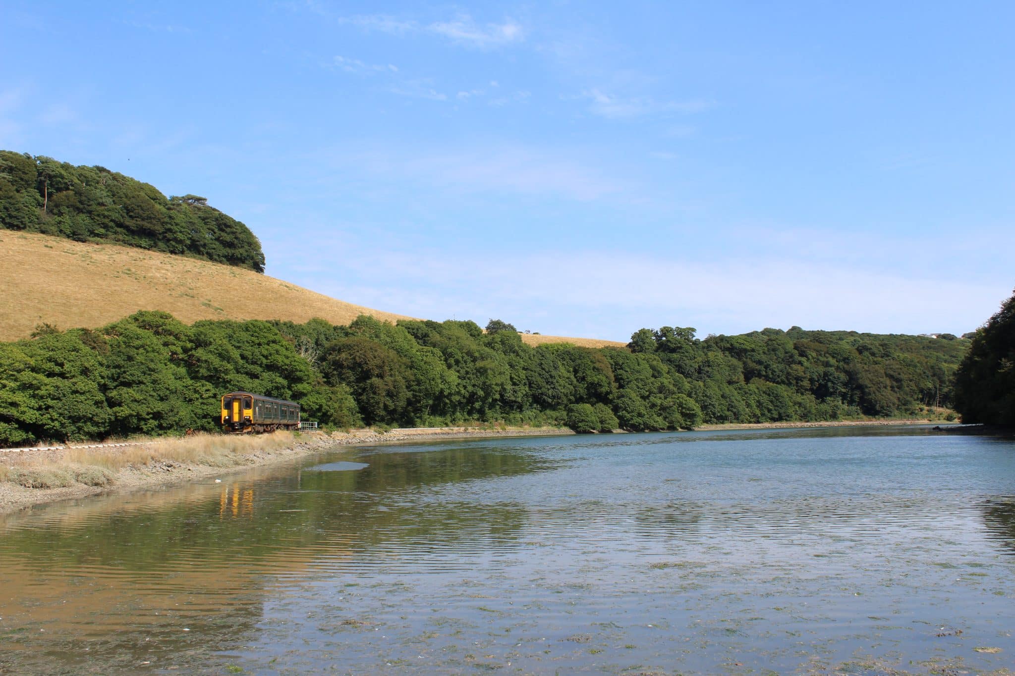Liskeard to Looe - Looe Valley Line - Great Scenic Journeys