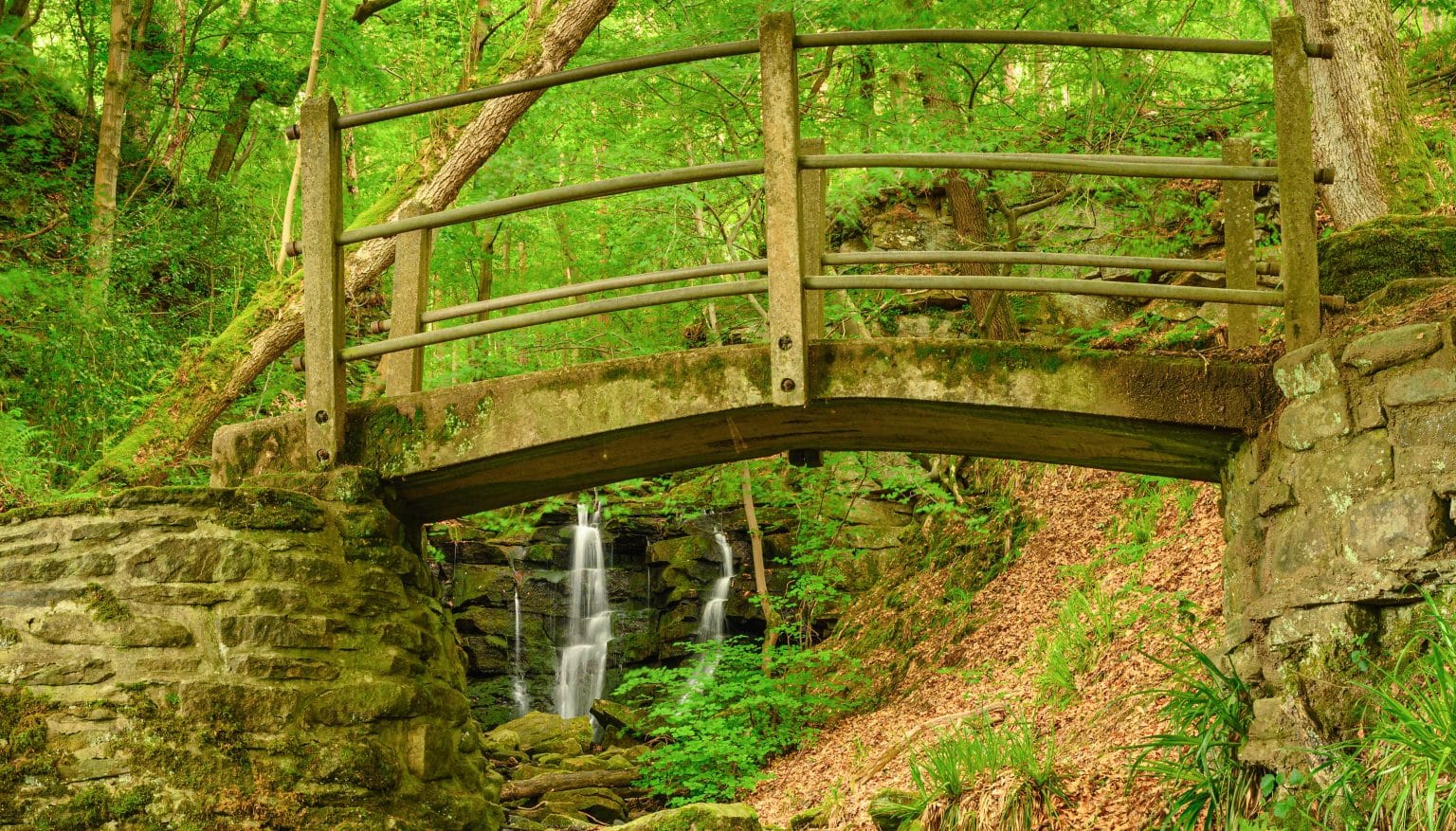 AD122 Hadrian’s Wall Bus - Great Scenic Journeys
