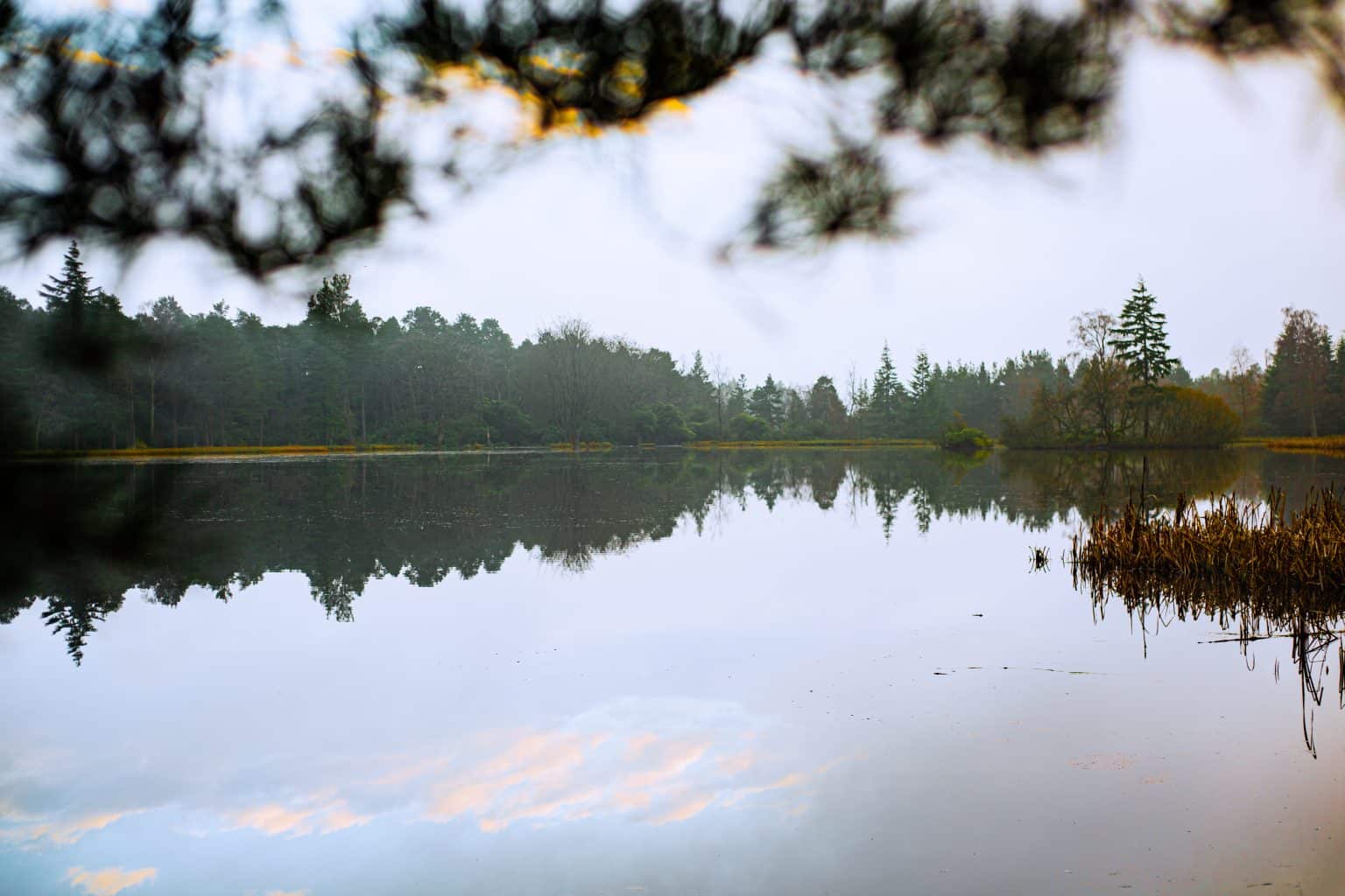AD122 Hadrian’s Wall Bus - Great Scenic Journeys